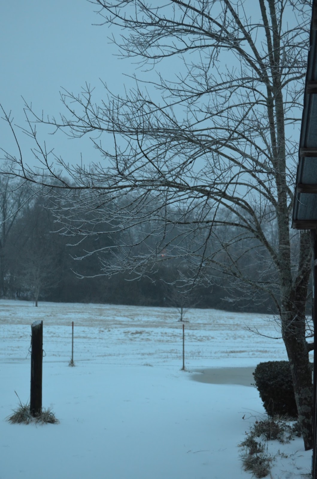 Baseball-Diamonds & Hairspray: Snowpocalypse Feb 2014