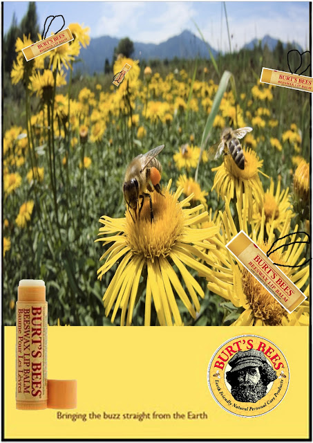 Matt Smith's Advertising Portfoilo: Burt's Bees Print Ads and Billboard