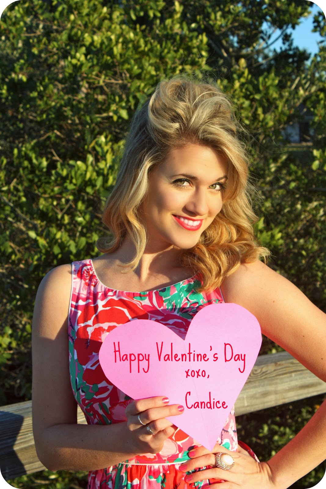 A Valentine's Wish - Candice Elaine