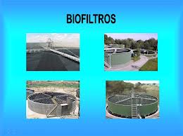 BIOFILTROS