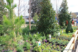 Growing Up Disney: A Walk Around the World with Ridge: More From Flower ...