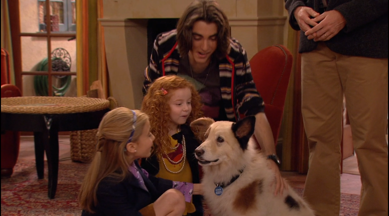 Warp Speed to Nonsense: Dog With A Blog: Season One, Episode One "Stan ...