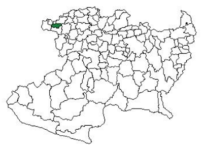 Jaime Ramos Méndez: Municipios de la Región Zamora - Sahuayo