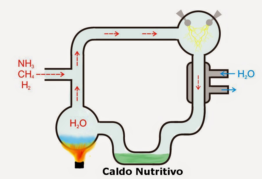 CALEBE: A SOPA PRIMORDIAL: O CASO DE OPARIN E COMPANHIA