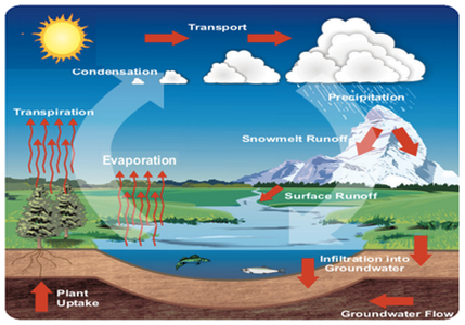 ALEXANDER BIRIUC: Water Cycle