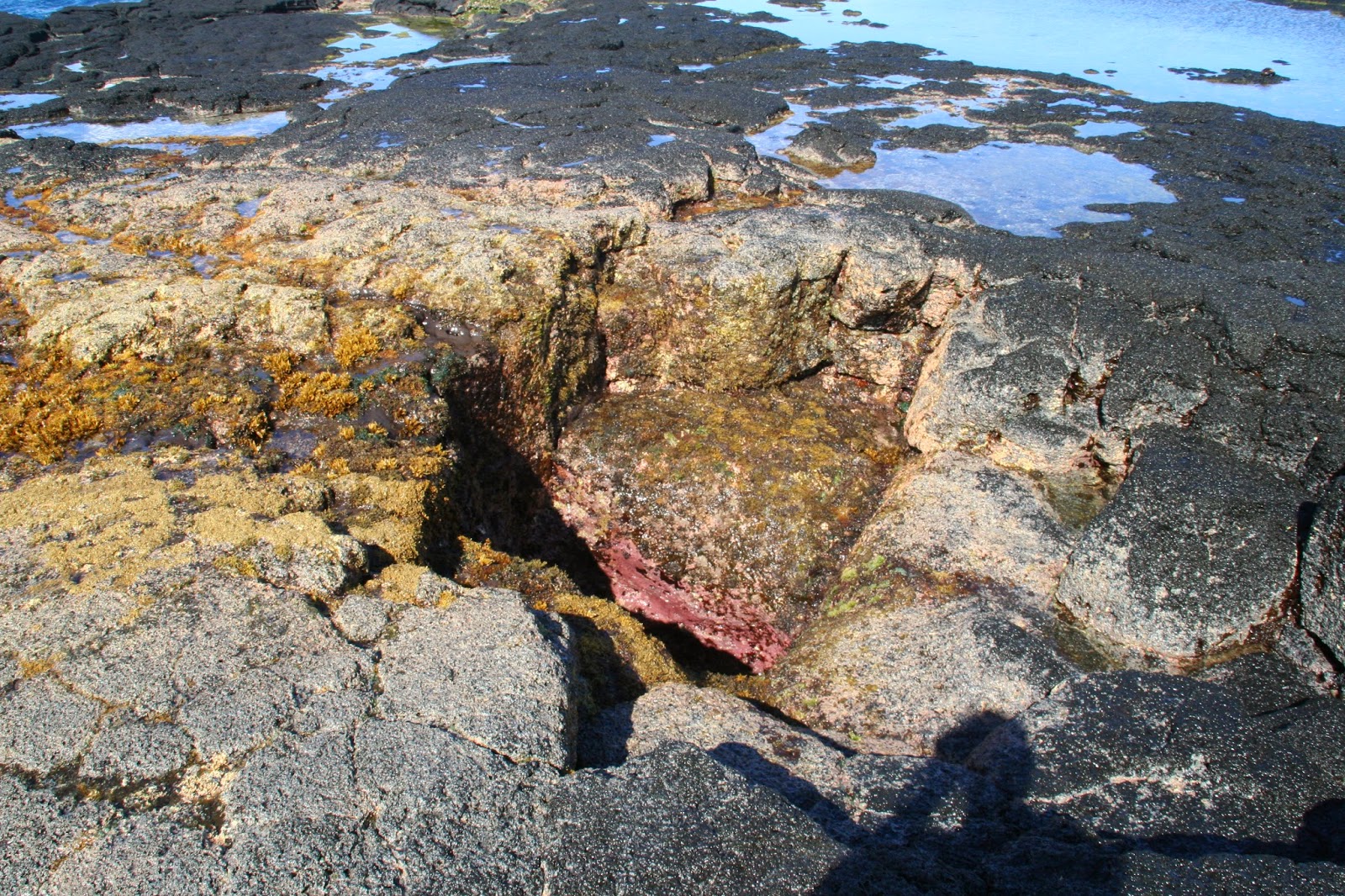 1000 Amazing Places: #702 Alofaaga Blowholes, Savai'i, Samoa