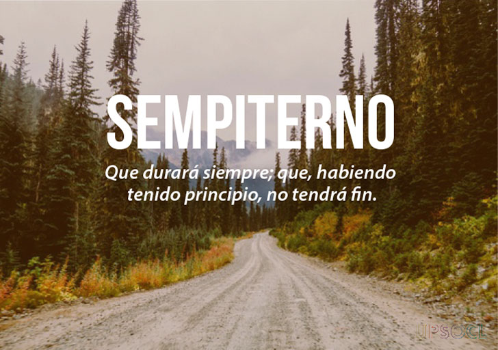 Un Respiro a los Sentidos: Sempiterno