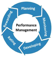 HRIS was Mine: Performance Management Cycle