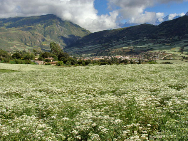 Conozca Abancay: Curahuasi