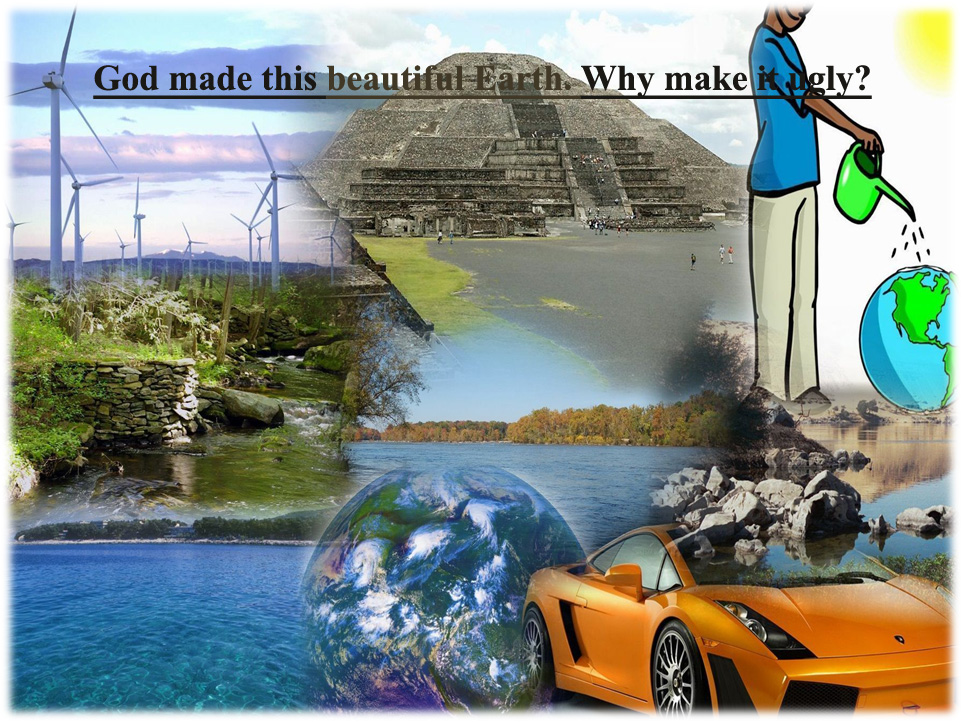 Conservation of Flora & Fauna: Conservation Of Flora And Fauna