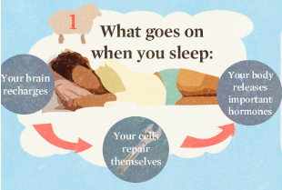 Interesting facts about Sleep you must know - improving knowledge