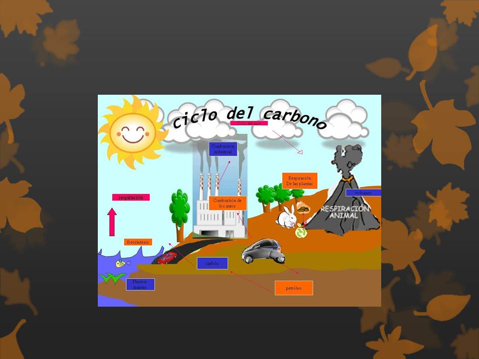 CIENCIAS NATURALES: LOS CICLOS