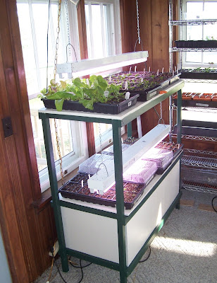 Joe's Garden Journal: Seed Starting Bench