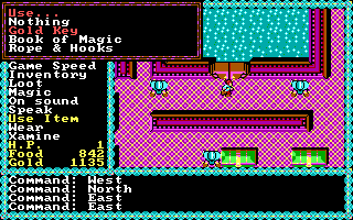 The CRPG Addict: Questron: More from the Creator