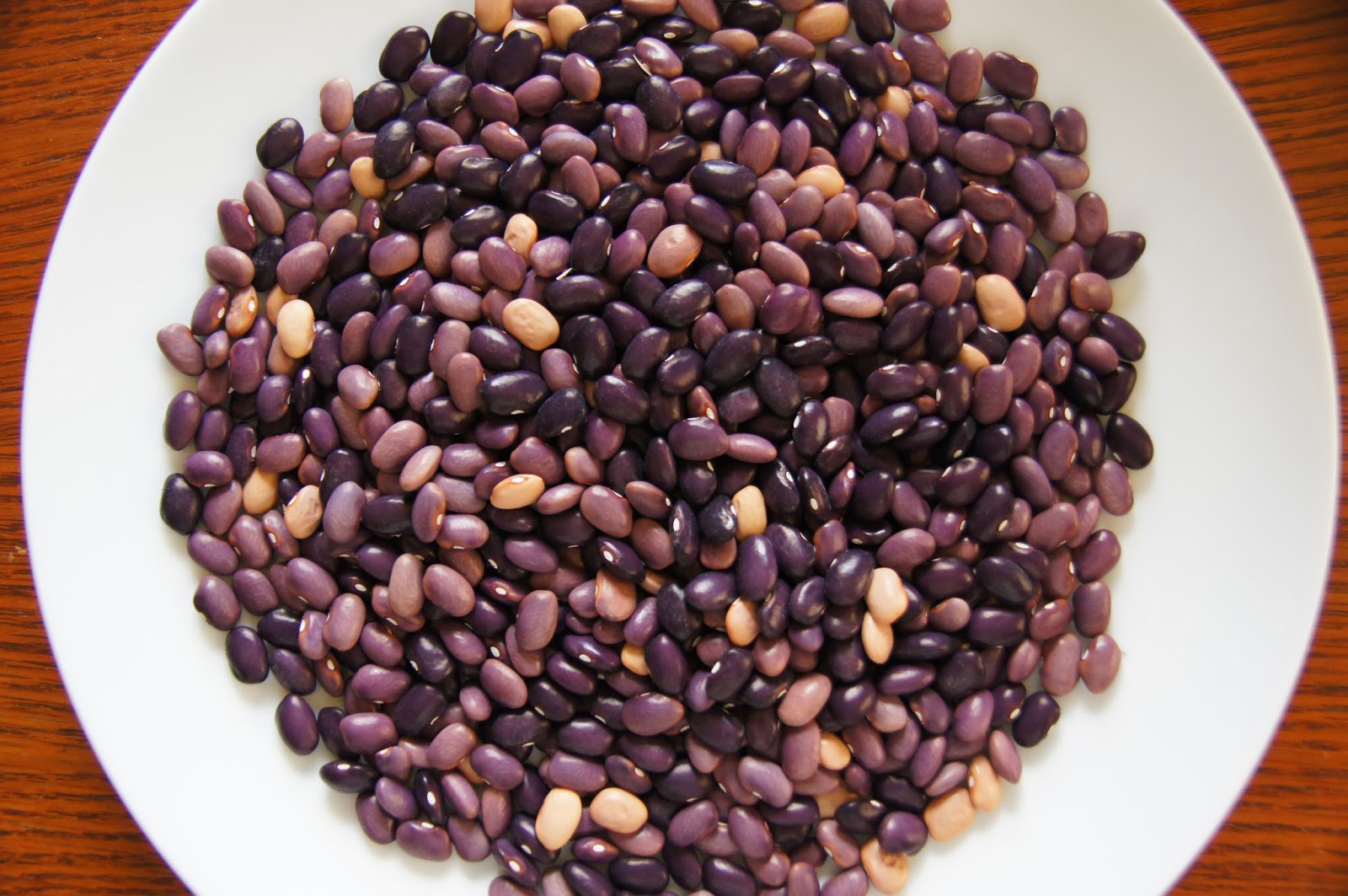 A Thinking Stomach: 2013 Bean Report (Better Late Than Never)