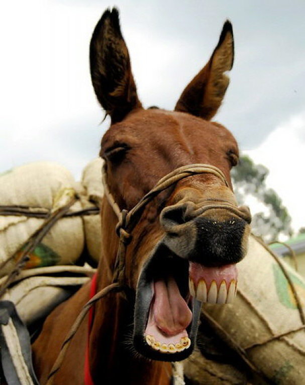 23 Muestra de Coleccionismo, Ferromodelismo, Hobbies y Maquetas ACME 2013