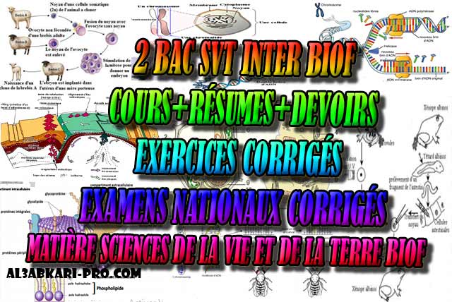 2 BAC SVT BIOF MATIÈRE SCIENCES DE LA VIE ET DE LA TERRE (SVT)