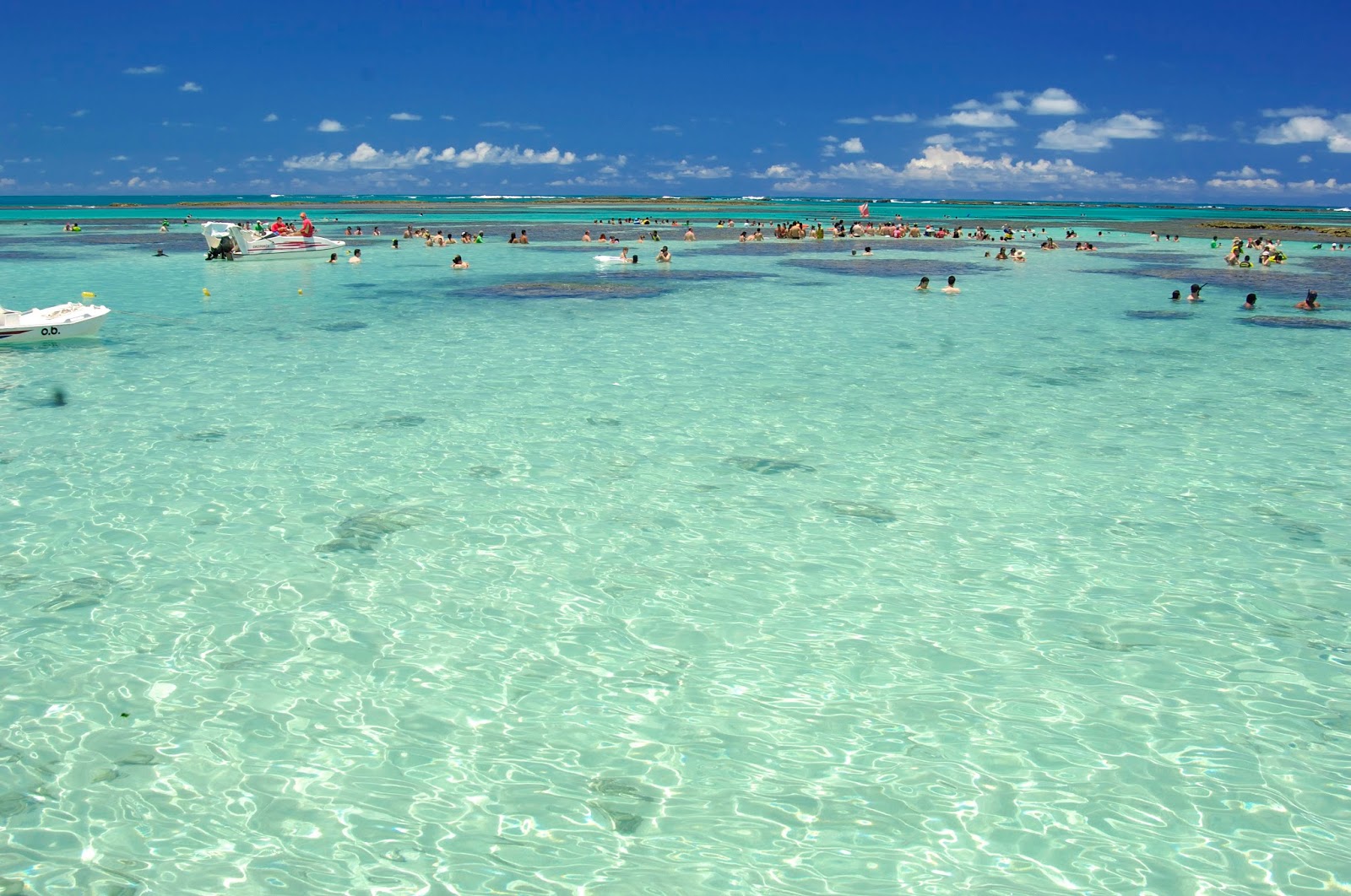 Vivendo o Nordeste: Maragogi - AL O Caribe brasileiro