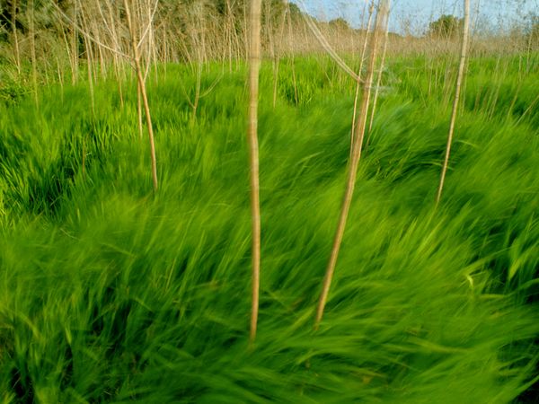 tabăra Frontiere: Viaţa în culori... 3