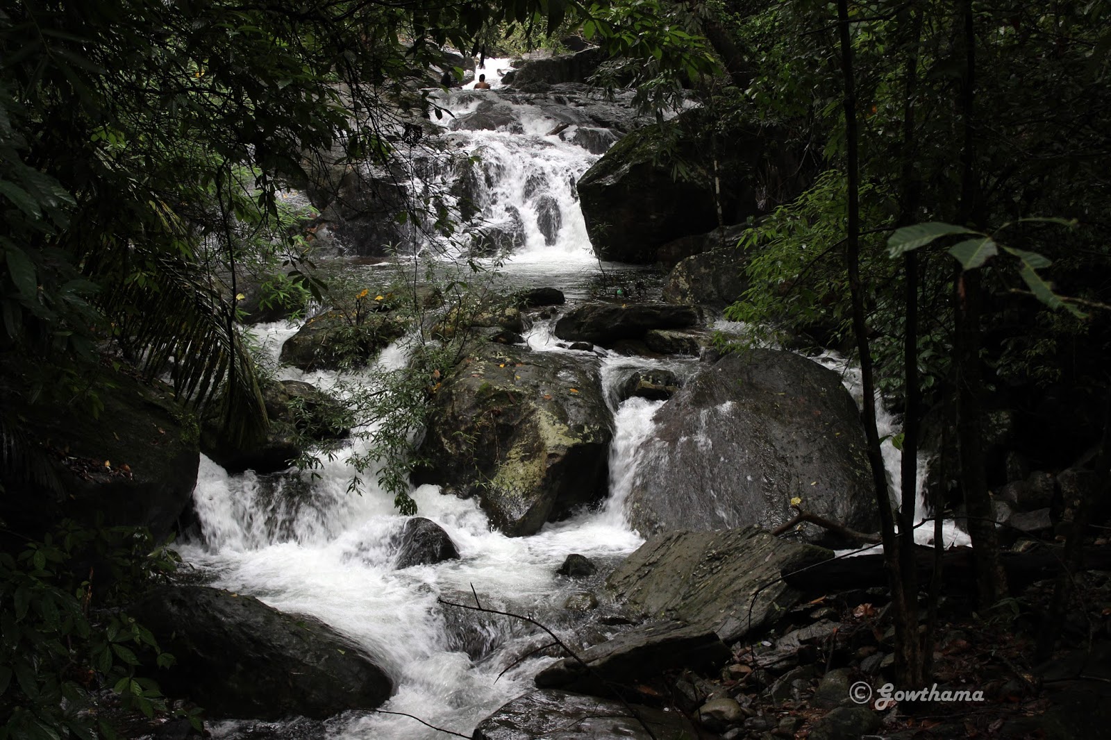 Entering Nature's Homeground - Vythiri Resort, Wayanad, Kerala - Creatikaa