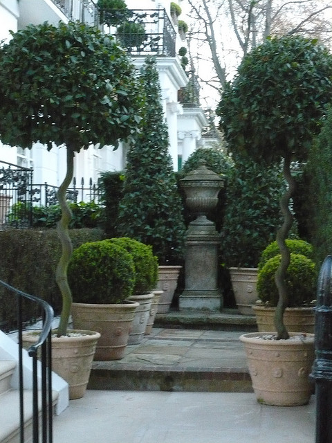 The French Tangerine: ~ topiary love