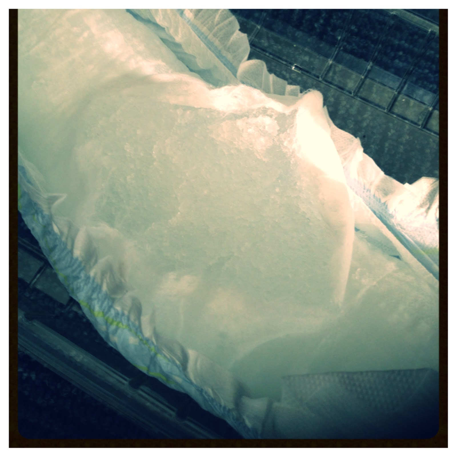 Looking Back on Science: The Forever Expanding Diaper