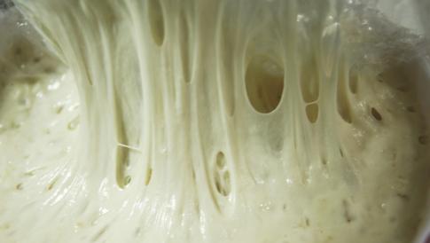 Kitchen Bounty: Making Bread Using a POOLISH