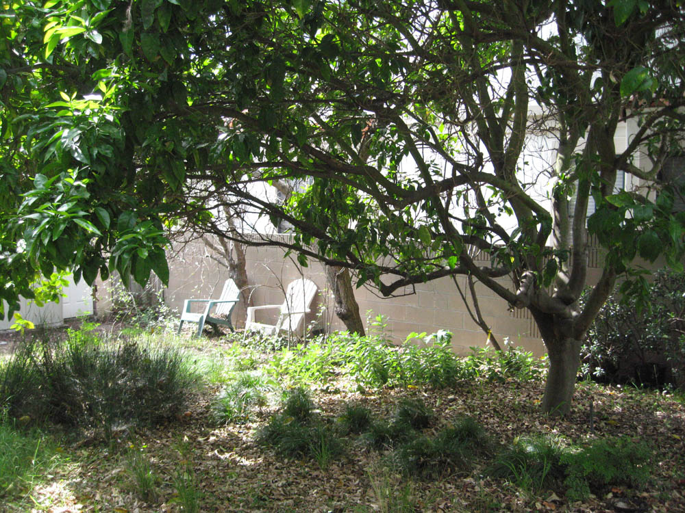 Mother Nature's Backyard - A Water-wise Garden: July 2015