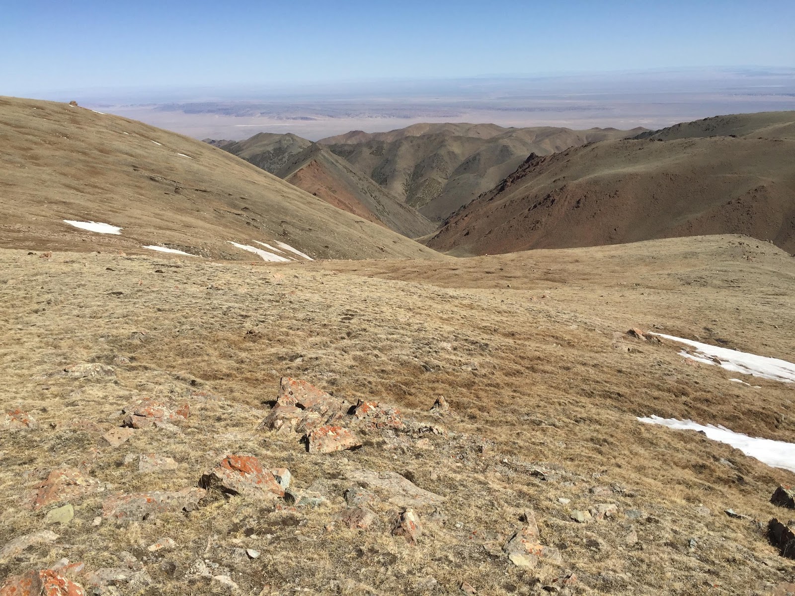 The Deskbound Birder: Mongolia - 16th May (Day 9) - Ikht Bogd Uul and ...