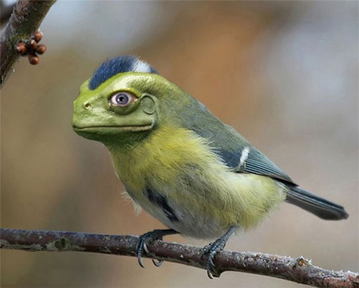 Funny hybrids of different animals - 30 Pics | Curious, Funny Photos ...