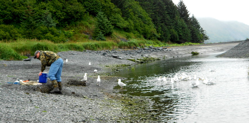 From Kansas to Kodiak...: Buskin River Salmon Fishing with the Bears