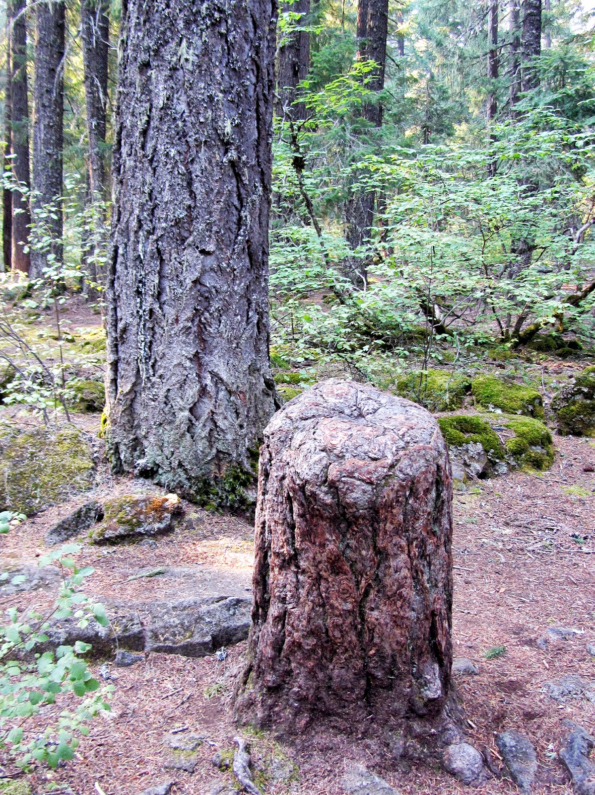 363 Miles of Unspoiled Scenery - The Road Junkies