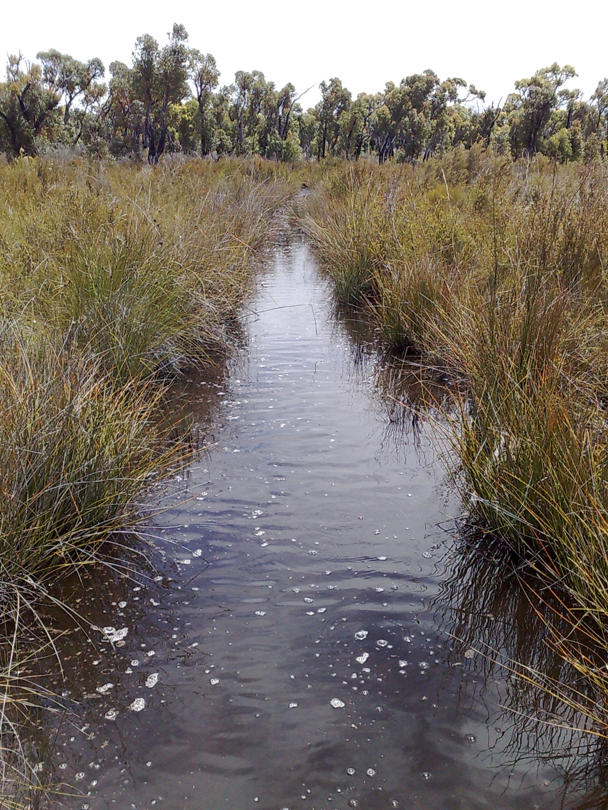 THE BIG TRIP ... an outdoor life hiking, cycling and paddling: December ...