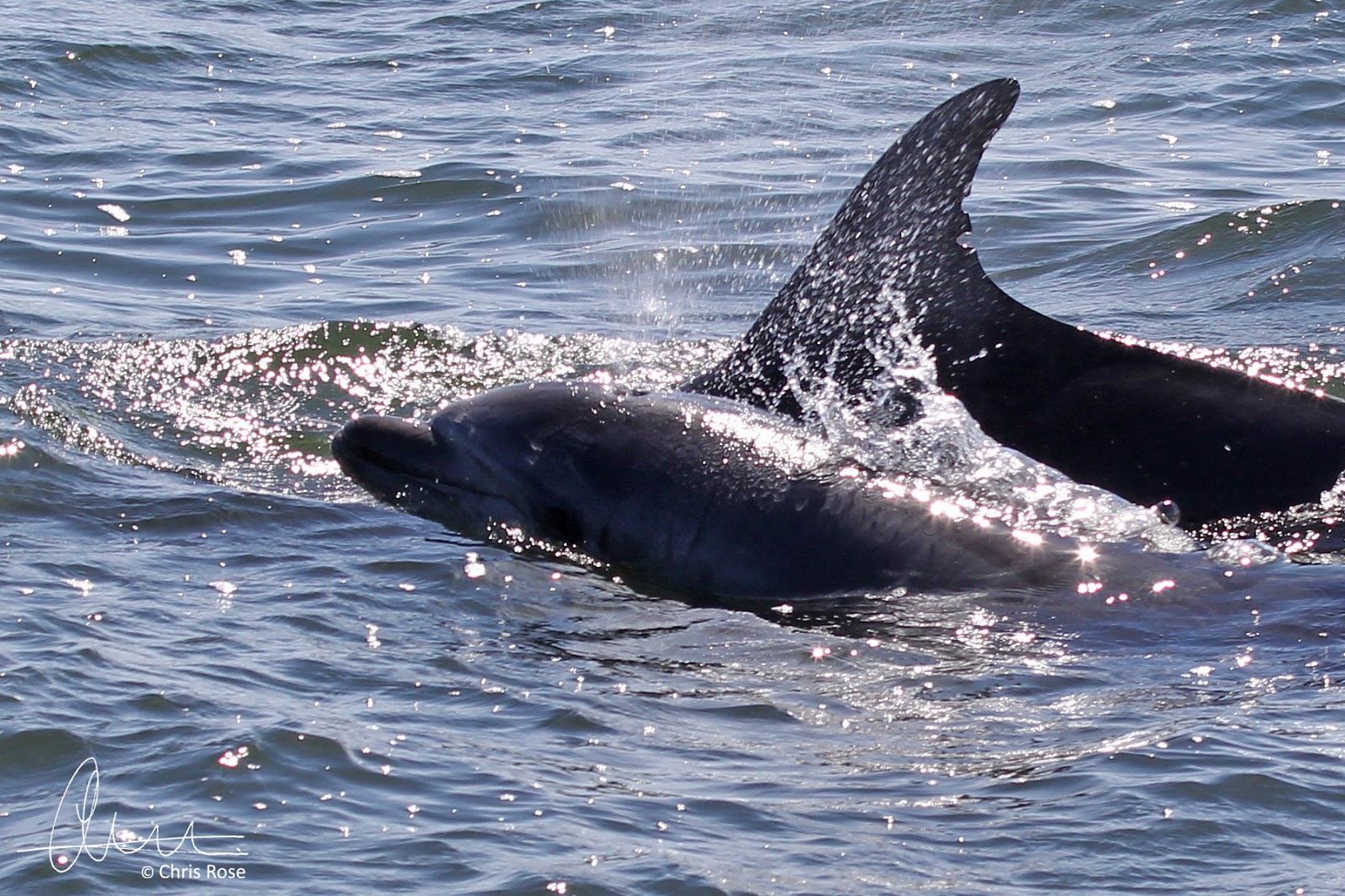 Away From Four Marks: 11th - 13th August - Swakopmund & Walvis Bay ...