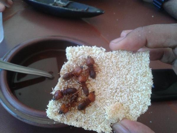 Bolívar, un paraíso por conocer