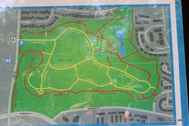 Reflections from Crumbly Acres: Everett Crowley Park in Vancouver