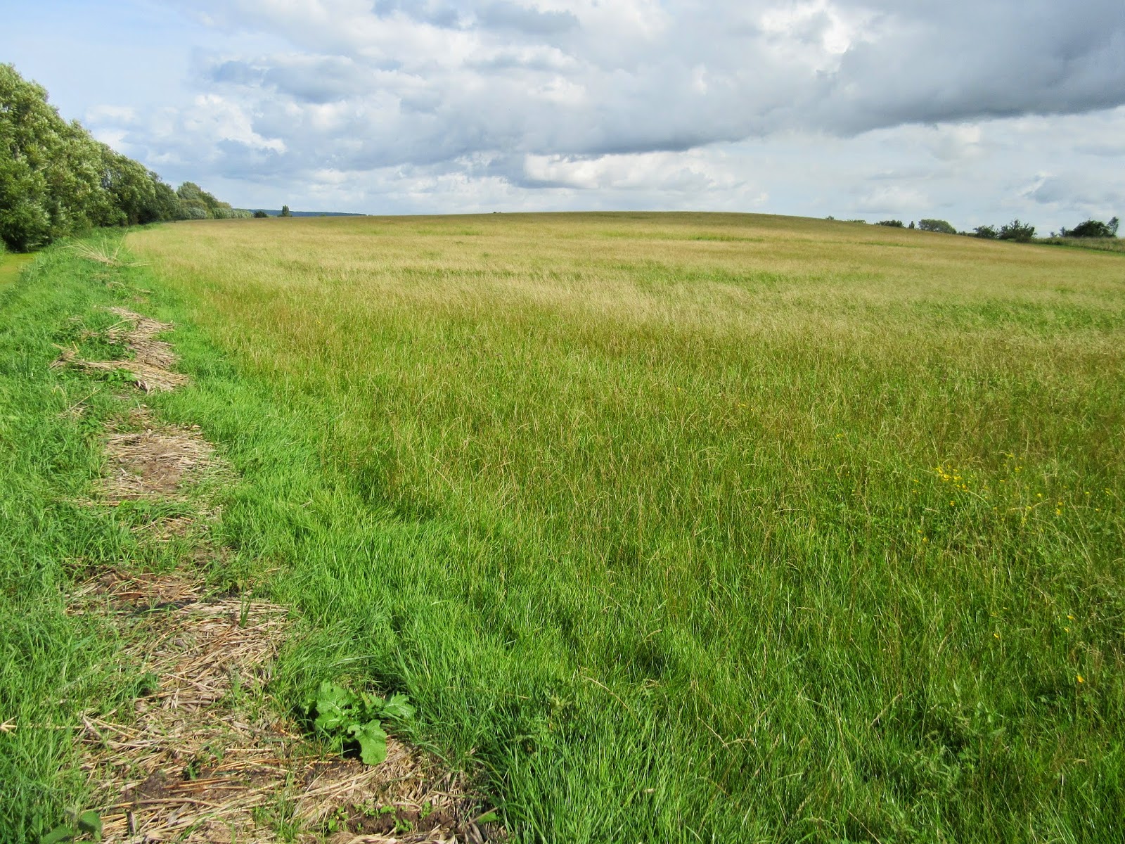 Old Fields of History