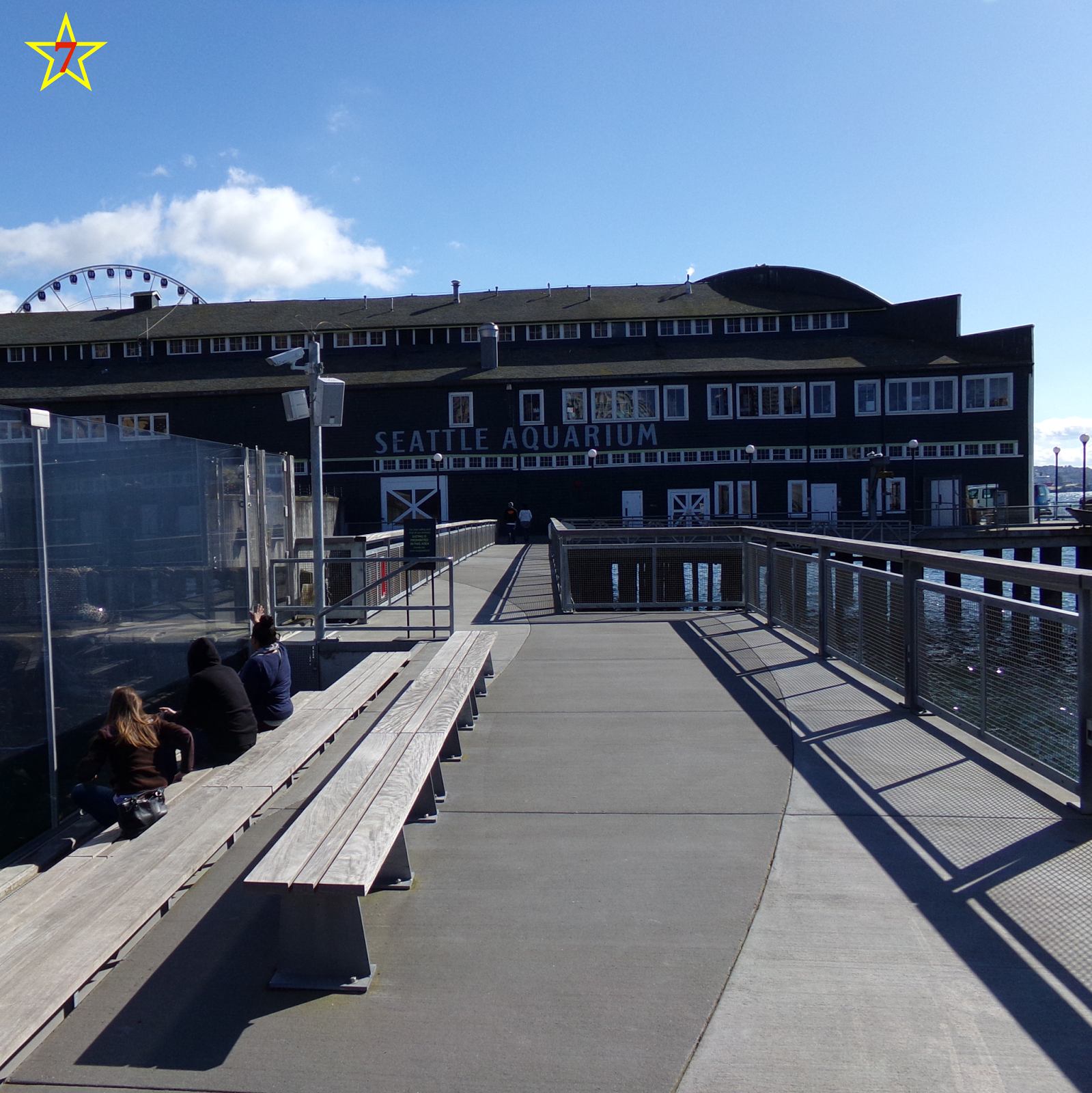 randuwa: Spring Break Redux: The Seattle Aquarium