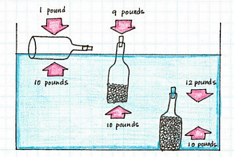 scienceandenglish4primary: UNIT 7 MATTER AND FORCES