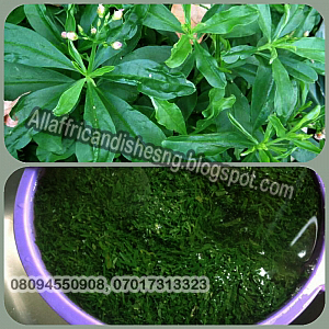 ALL AFRICAN DISHES: SOUP RECIPES (EDITAN)