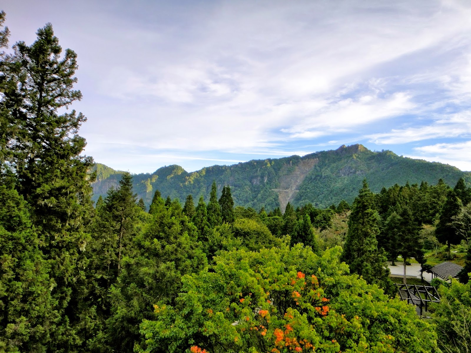 Hotel Review: Alishan Gou Hotel, Taiwan | Wandering Fel