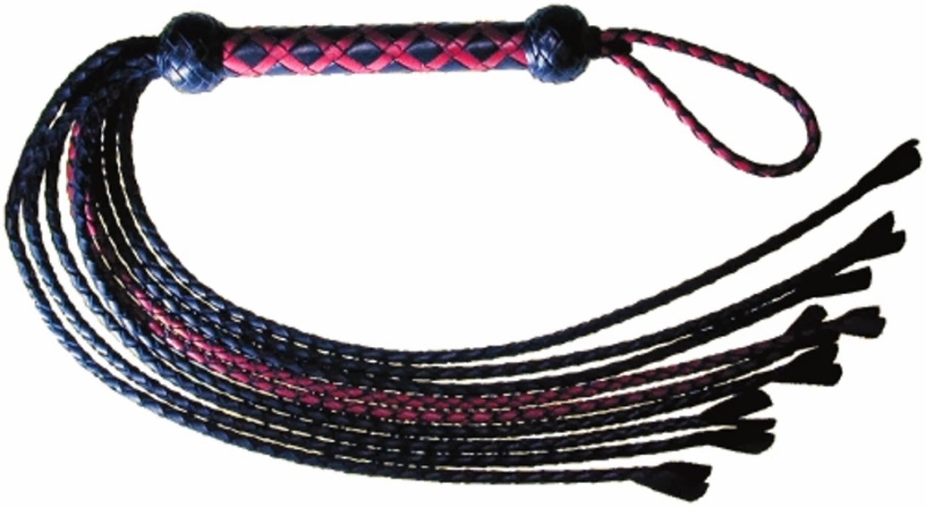 placardemike: LE MARTINET