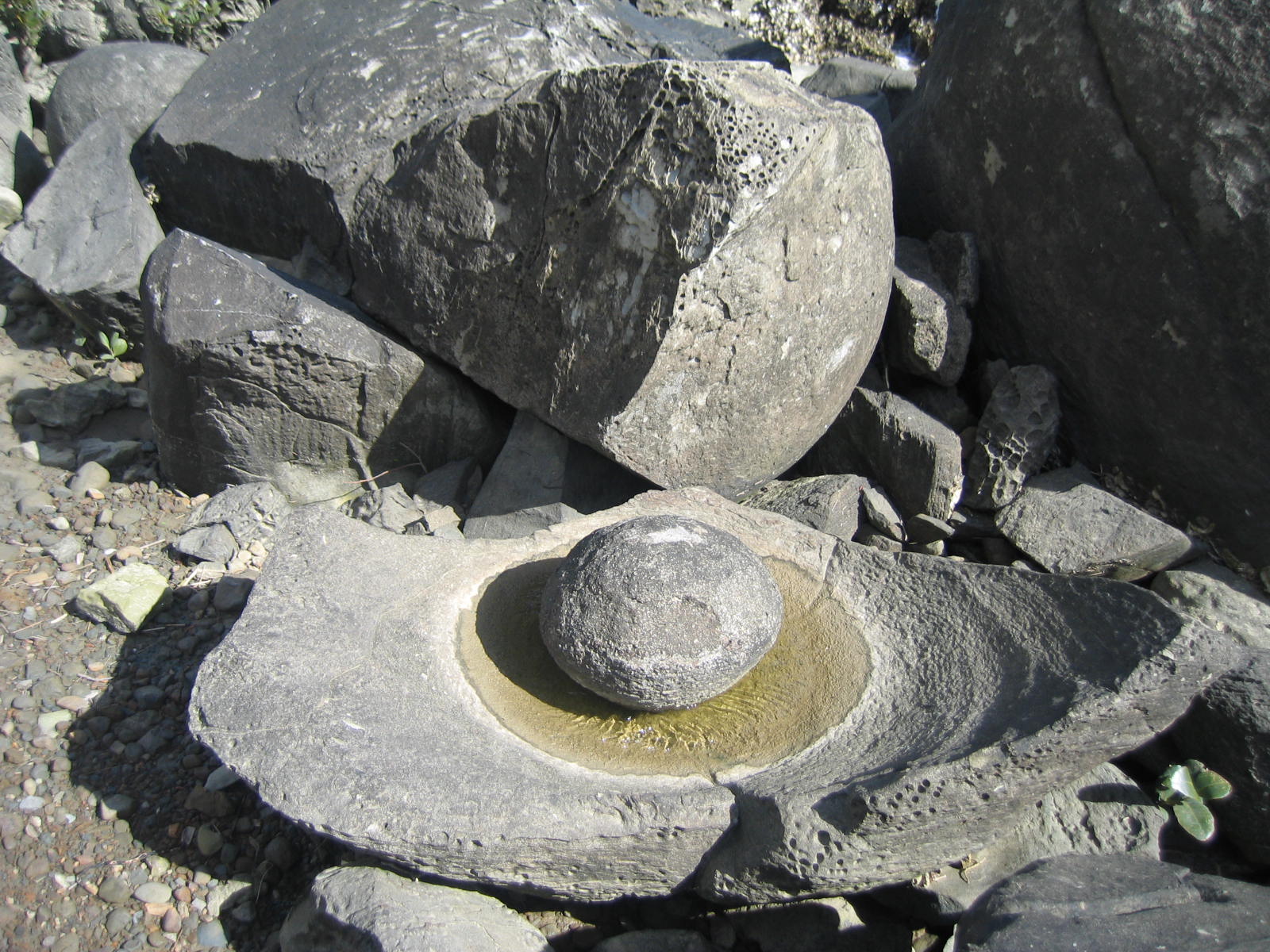 Round the Rocks: Curious New Zealand Concretions: Koutu Boulders