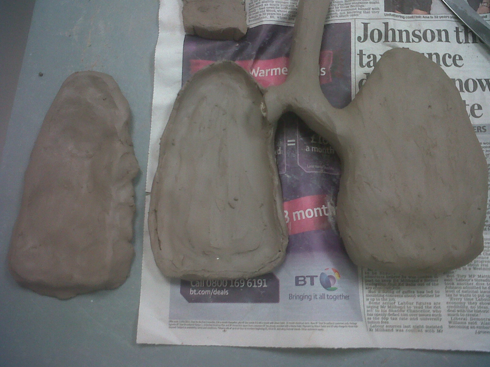 Plum Tree Illustration: Clay Organs