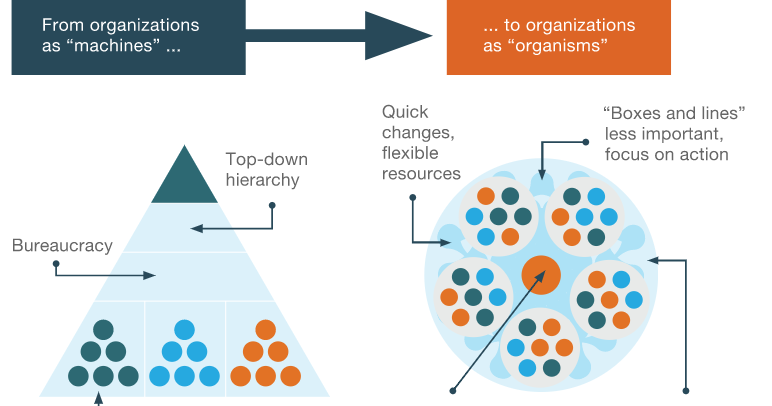 Decision-making: Проворная организация (agile organization)