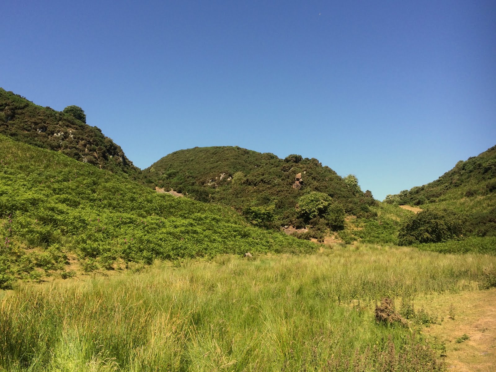 Days out in the Borders : Wooler Common And Earle Circular Walk