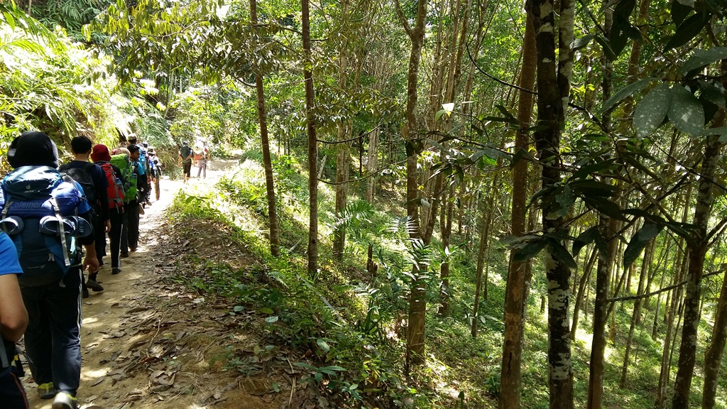 TRAVELOG: GUNUNG ULU SEPAT : Jangan Lupa Bergambar di Hutan Lumut yang ...