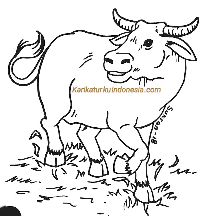 15 Contoh Sketsa Gambar Sapi Mudah Terbaru Postsid | Images and Photos ...