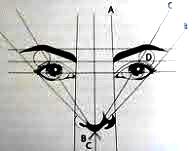 Ritmo Funcional: Simetria corporal