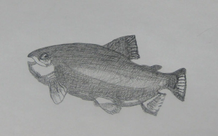 Montevallo Dept of Art May Drawing: Denise Wilson Cross Hatching